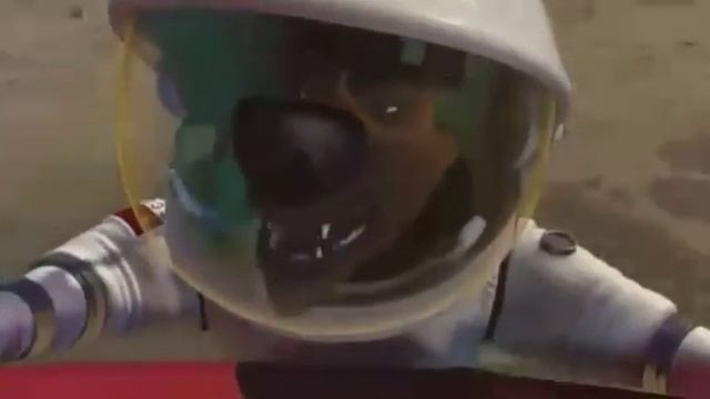 Белка и Казбек: Костёр