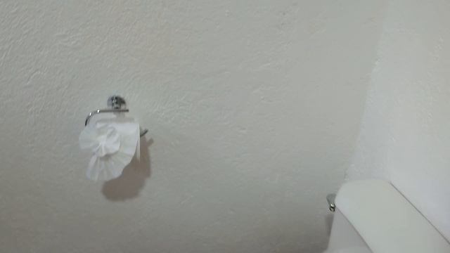 12.  Рио Колорадо сплав Лошади Активный отдых Гуанакаста Коста Рика 12.11.2024