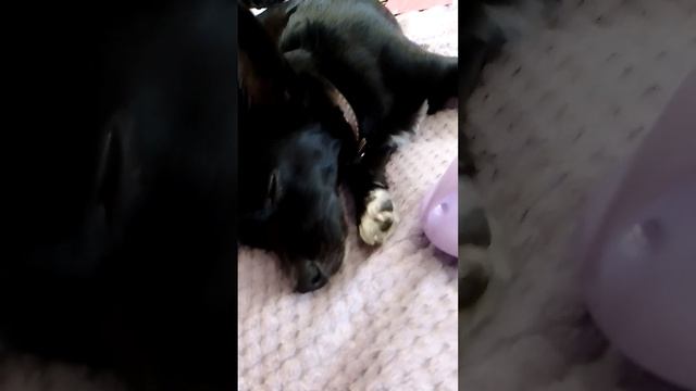 26 августа 2023 г.