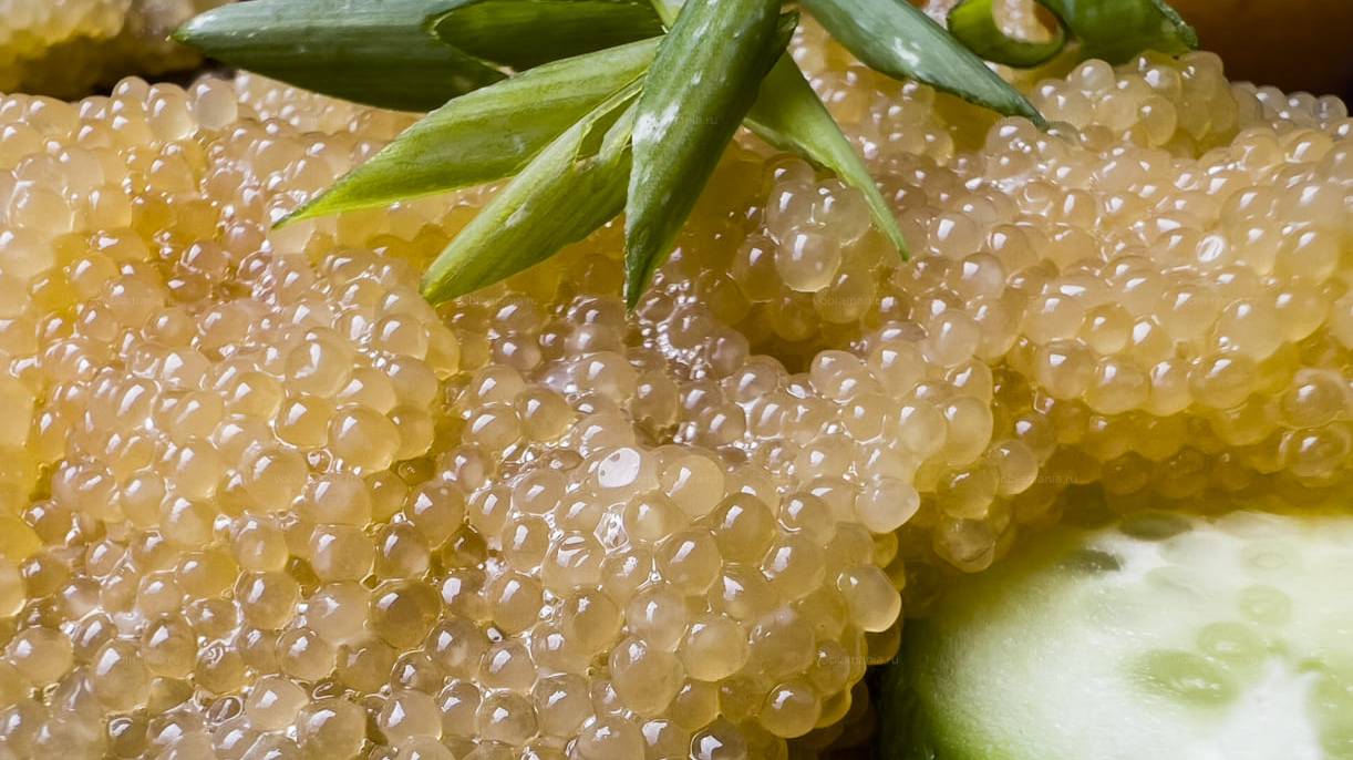 Щучья Икра_Как Солить_Рецепт Посола(100% Безопасно)_Как Засолить Икру Щуки в Кипятке_SUB(0+)