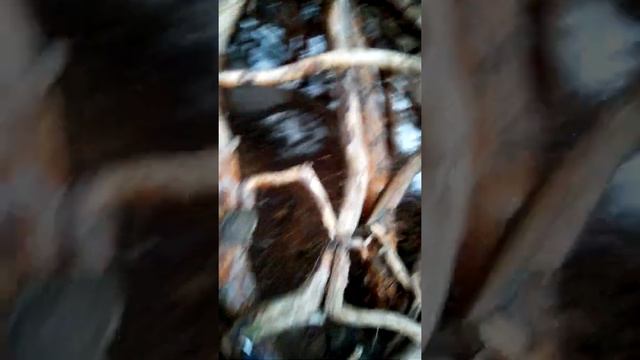 18 апреля 2021 г.