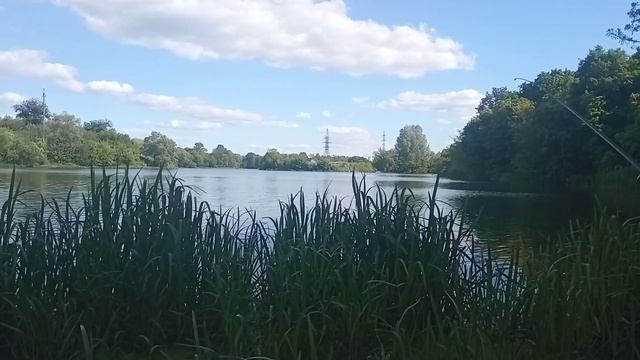 Тишина. Клева нет! Затон.🤔🤔🤔🤪🤪🤪