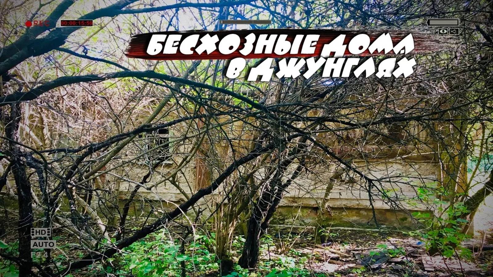 Бесхозные Дома в джунглях - Выпуск #02