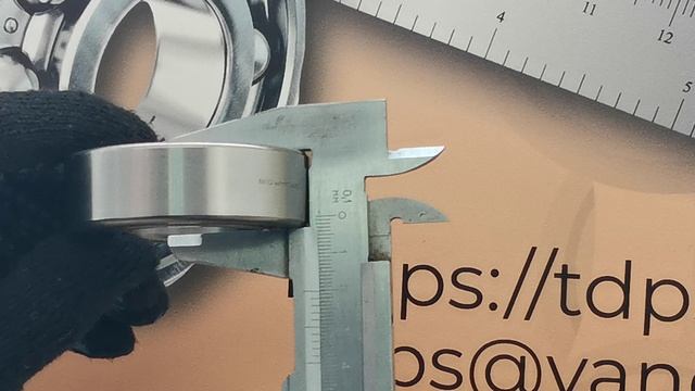 63008 2RS   -TDPS66.RU