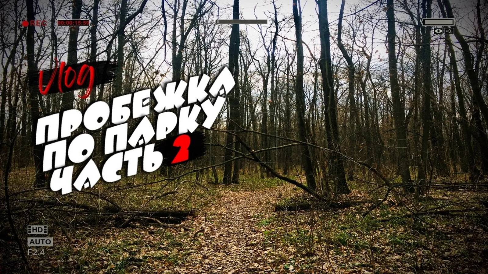 VLOG! Спортивная пробежка по парку #02