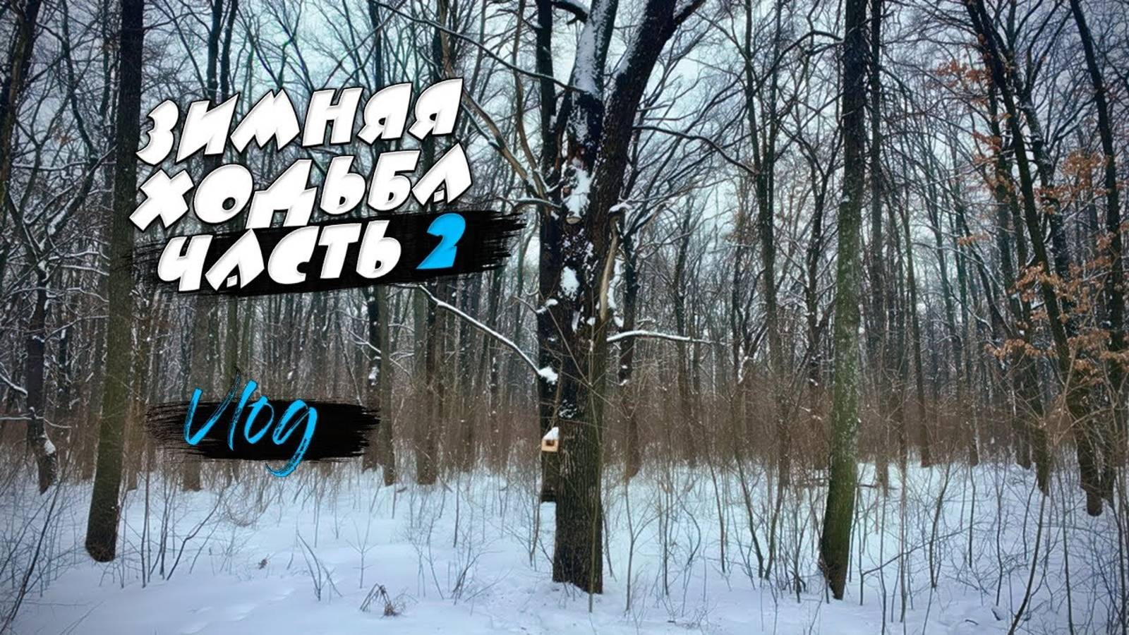 Vlog! Зимняя ходьба по парку #02