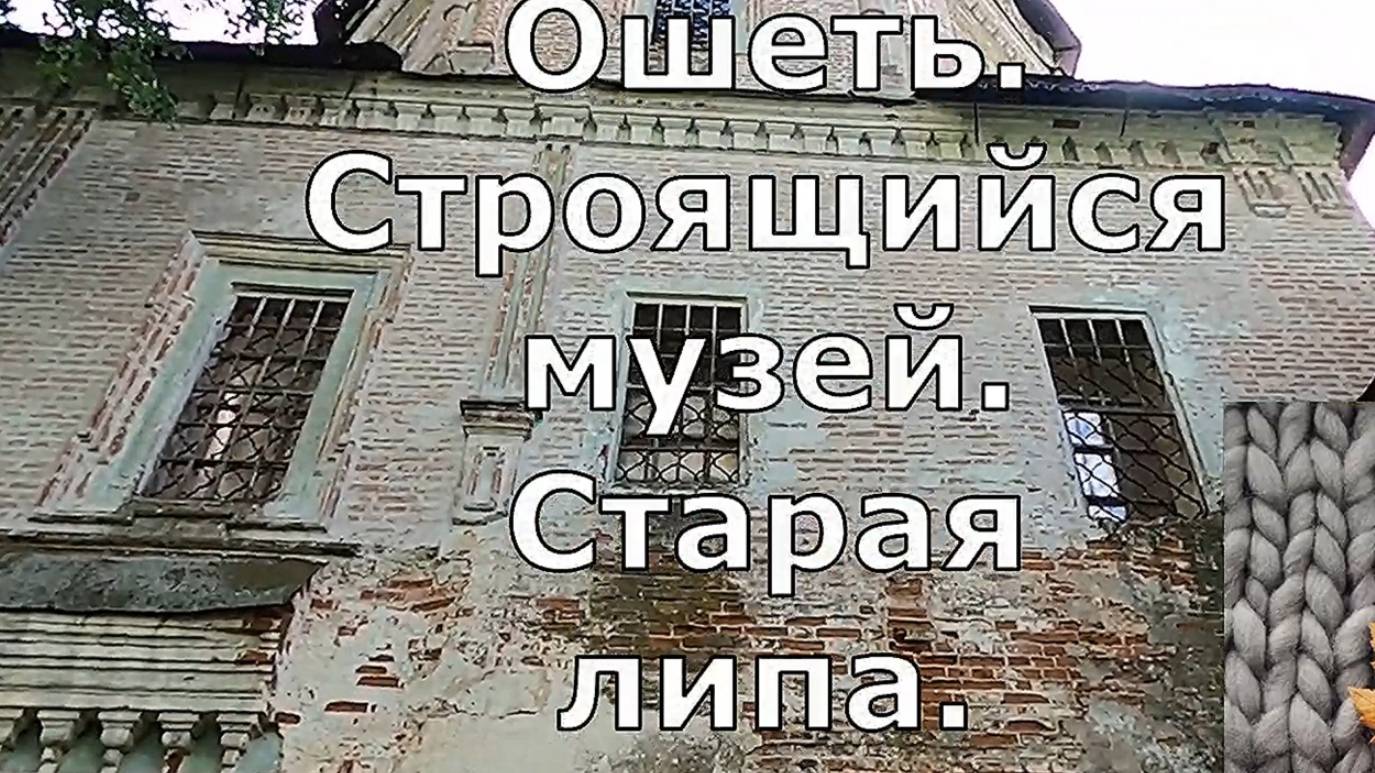 1) село Ошеть. Сунский район. Васнецовская липа. Вятка