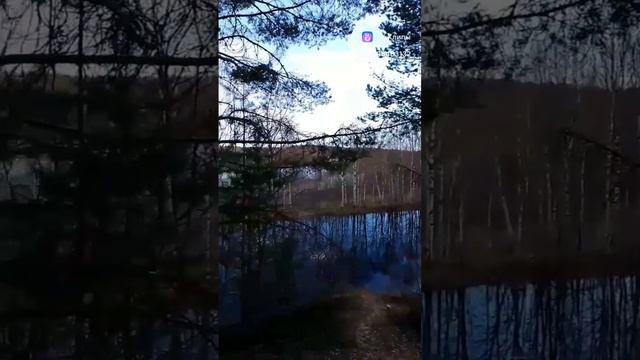 Вчера ездили в Гирвас на природу, побродить...тишина..птички поют, кайф