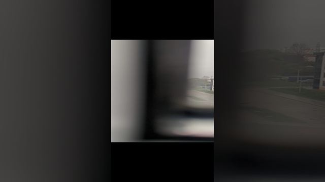 15-11-20242024тест