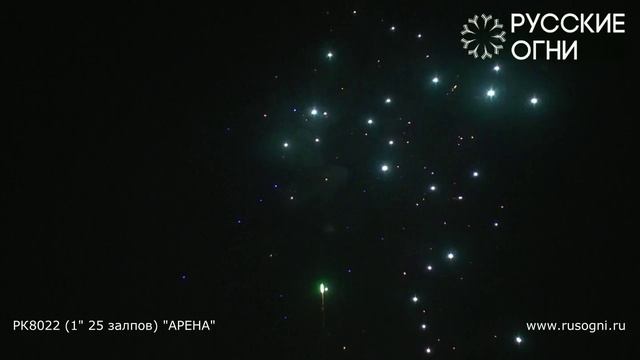 PK8022 АРЕНА (1x25)