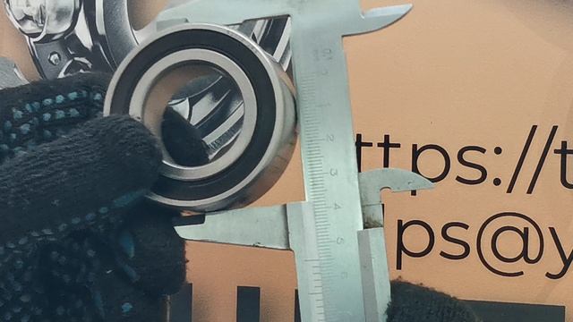 63006 2RS CX-TDPS66.RU