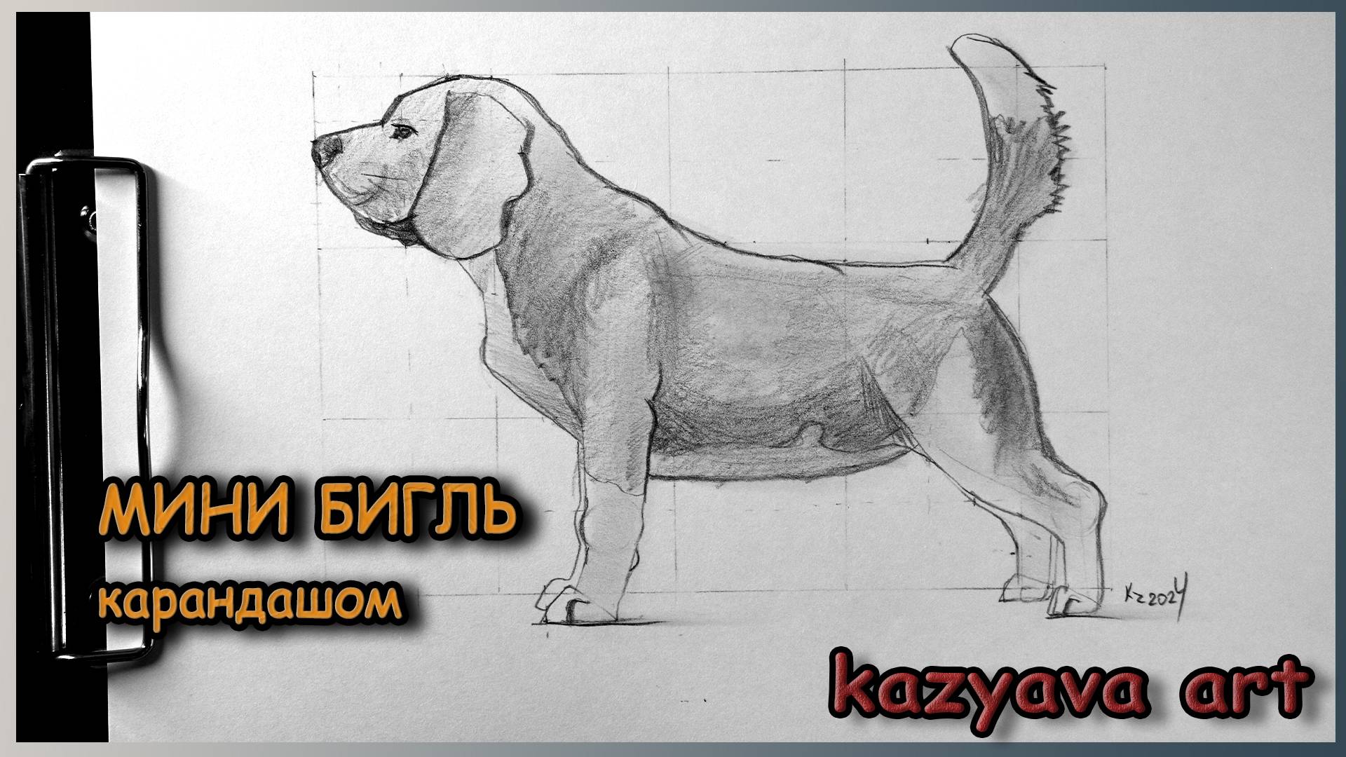 Как нарисовать собаку породы МИНИ БИГЛЬ карандашом. Поэтапное рисование.