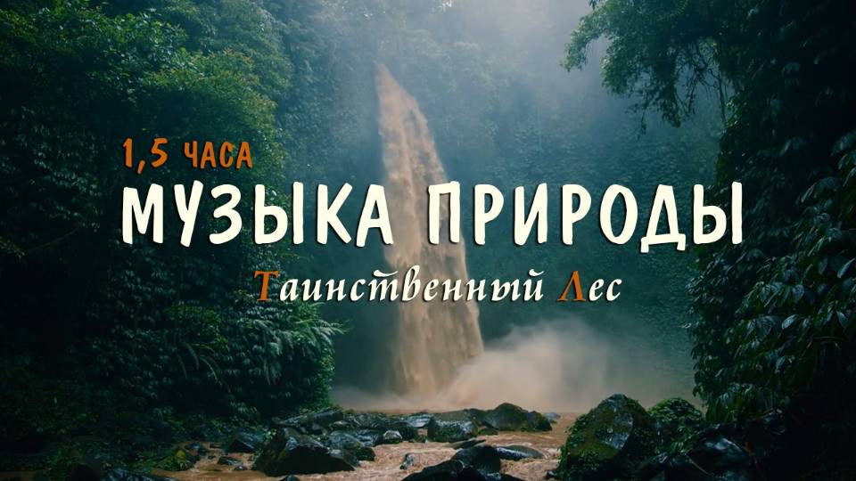 Красивая ведическая музыка для души | 1,5 часа музыки природы для гармонизации пространства