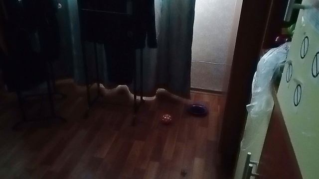 Вызываем пьяного ёжика.