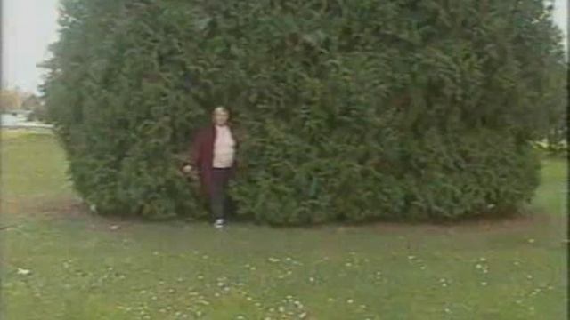 2005 Октябрь Мама я