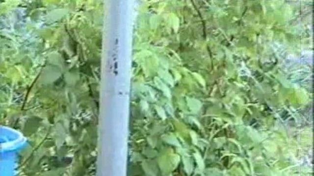 2005 Май я Мама