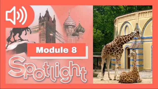 Аудиоприложение | Spotlight 7 | Модуль 8 | Английский в фокусе | 7 класс