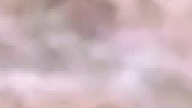 Интересное рядом_СОРОКИ_161124