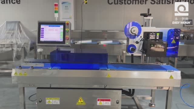 Чеквейер и система Print & Apply