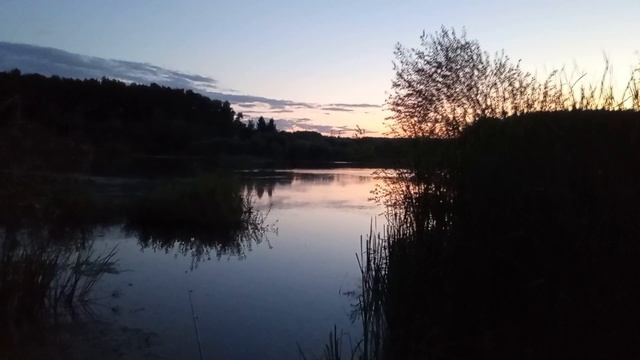 Поздно вечером на пруду. Красотища!!!