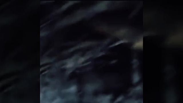 Повадки русского медведя. Природа России.