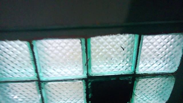 Лифт НижегородЛифтМаш 2021 года (ул.Полиграфистов дом 25) (г.Чехов) 3-подъезд