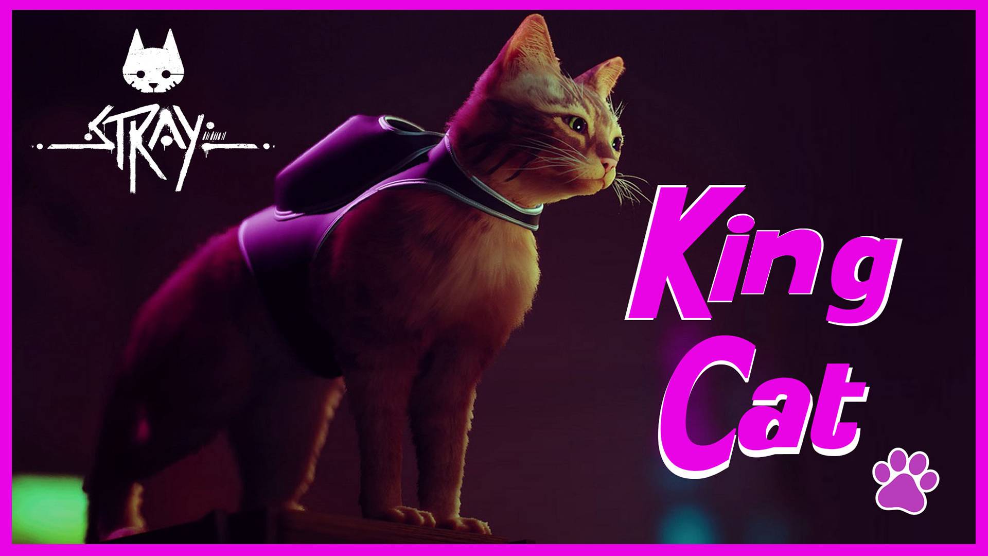 {Stray} King Cat  Король кот в Стрей... Лучшая игра 2022г.! Кот водопровод. Вялая драка с лизней!!