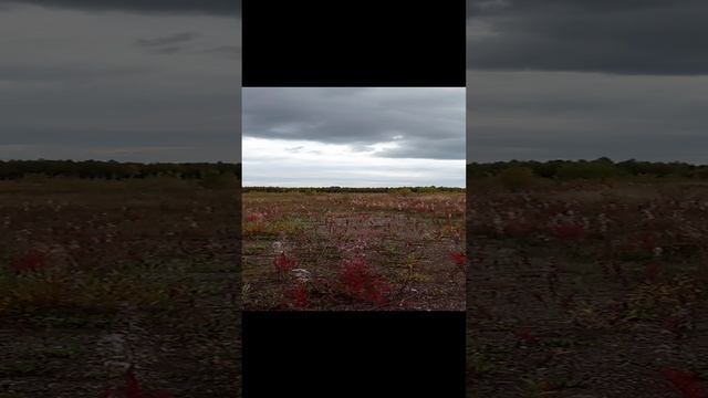 Вот такое место This is the place