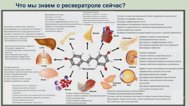 Научный симпозиум "Актуальные тренды первичной и вторичной профилактики АССЗ"
