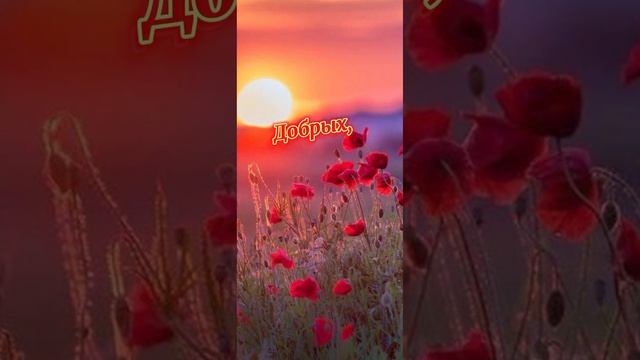 Подарит фея пусть волшебный сон, Пусть будет легким и красивым он🌠🌌#музыкальная открытка#