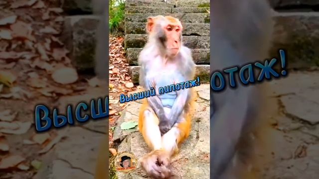 Бросил пить! Кайф?