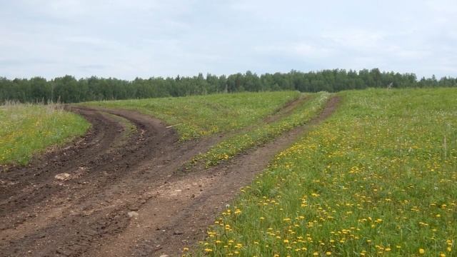 Одна из прогулок - 2015