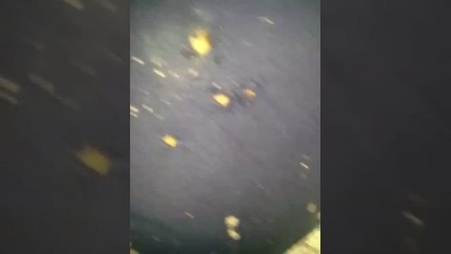 Пистолет-автомат Дрозд.