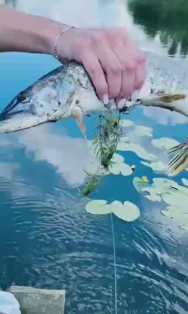 Щуку голыми руками!!! А вам слабо? Катя может