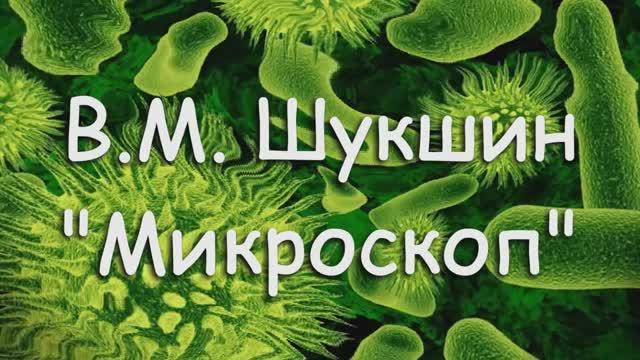 11. В.М. Шукшин "Микроскоп". 8 октября 2017 г.