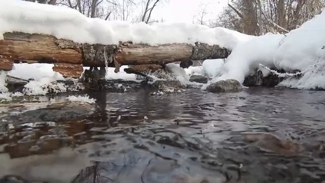 Не замерзающий ручей