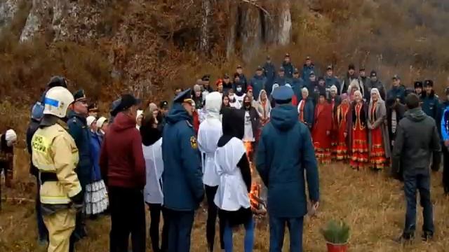 Посадка саженцев