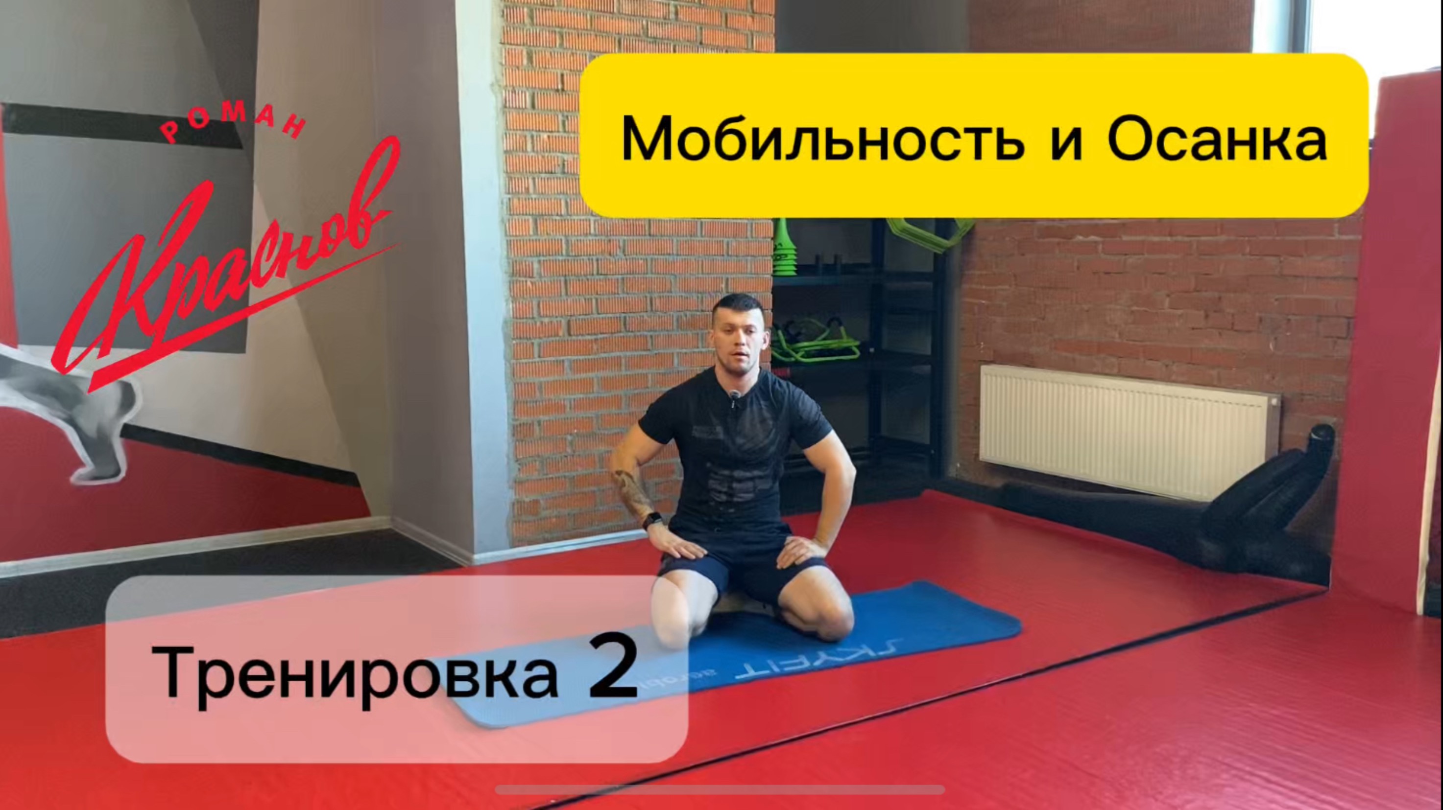 Мобильность и Осанка. Тренировка 2.