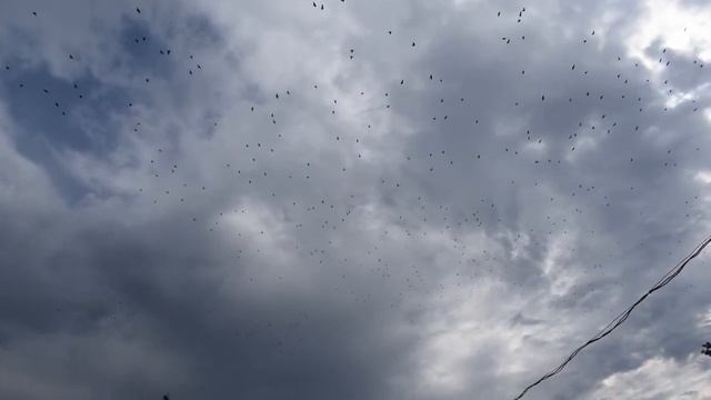 Праздник в котлоюл