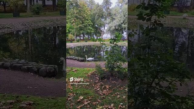 В парке г.Петергоф сентябрь 2023.