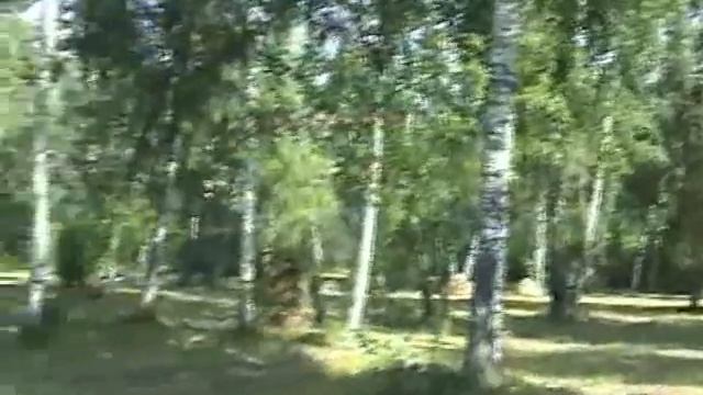 Июль 2009 года