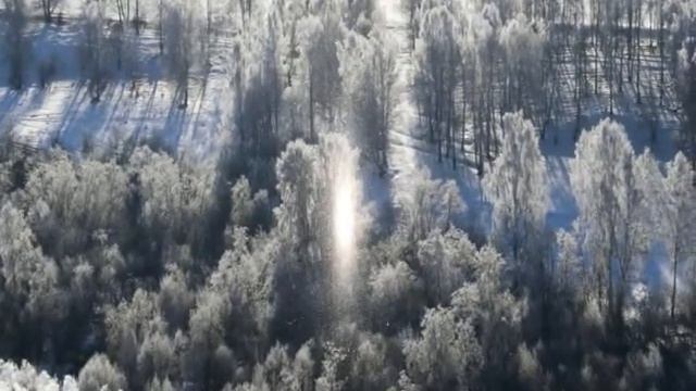 Вот такое чудо 1 декабря