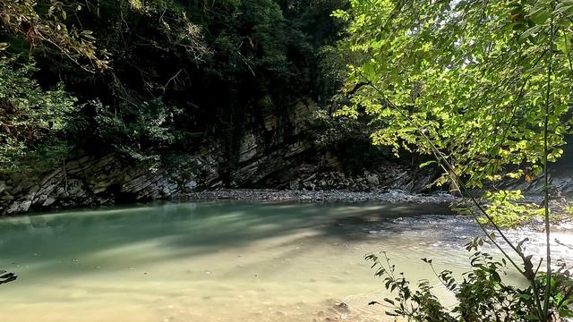 Тиссо-Самшитовая роща