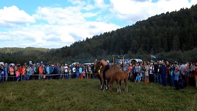 борьба джигитов рода Катай