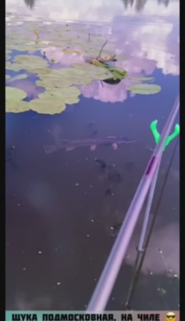 Щука подмосковная - на ЧИЛЕ на расслабоне |Рыбалка 2021 | Рыбалка на платнике | Fishing 2021