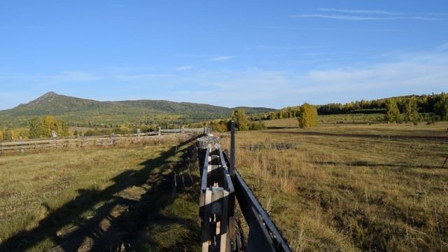Прогулялся в лесок пока листья не опали