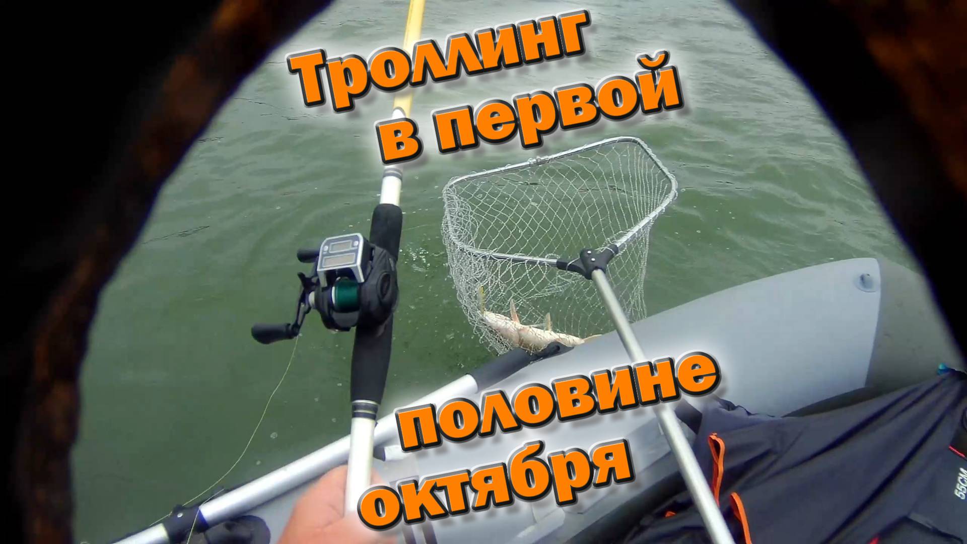 Троллинг в первой половине октября