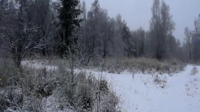 Прогулка на гору Арвяк Рязь