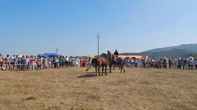 Борьба всадников