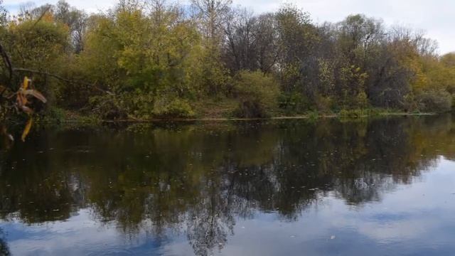 Река Белая -  Сосновка